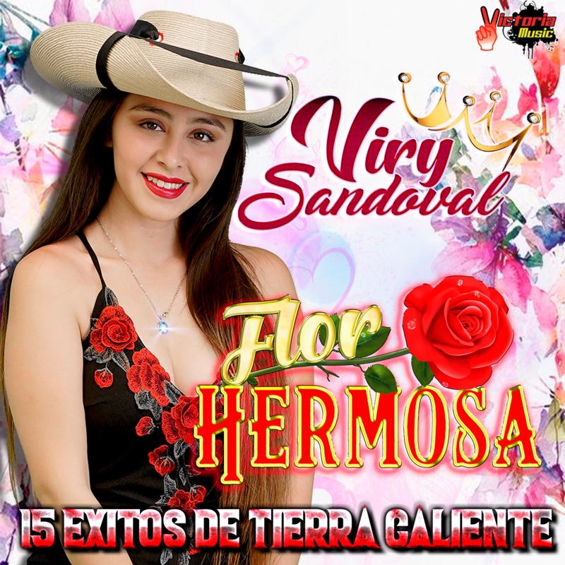 Caminos De Michoacán - Viry Sandoval: Song Lyrics, Music Videos & Concerts