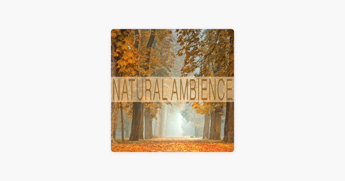‎Natural Ambience - Single - Album by Bird Sounds - Apple Music