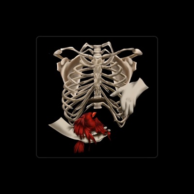 Ryan Flannery concert - Ridgewood, Steel Wheel Tavern, Apr 22, 2025, 6: ...