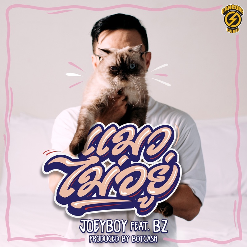 แมวไม่อยู่ (feat. Bz) - Joey Boy: Song Lyrics, Music Videos & Concerts