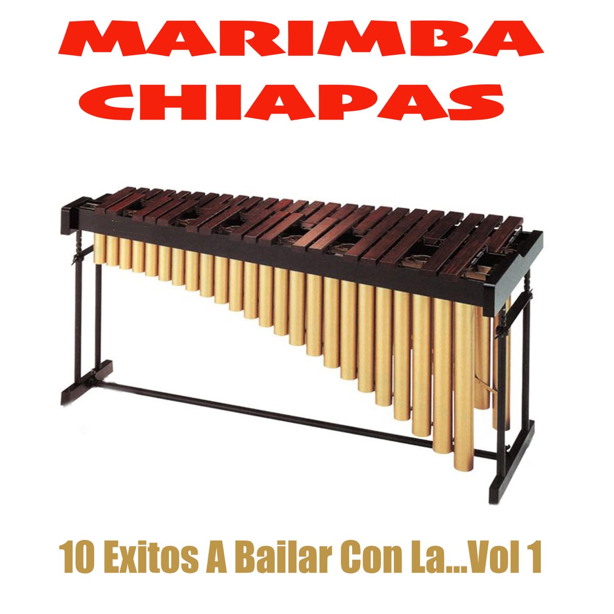 ‎10 Éxitos a Bailar Con La…, Vol. 1 – Album von Marimba Chiapas – Apple ...