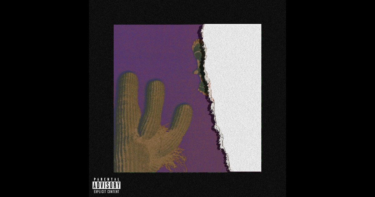 ‎From the Desert - EP - Album by MVSFVT - Apple Music