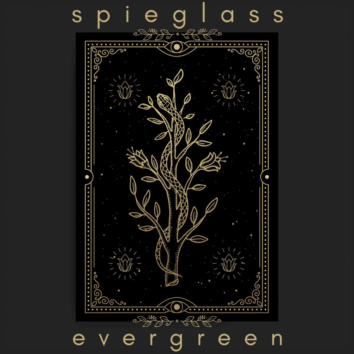 ‎Evergreen - Album by Spieglass - Apple Music