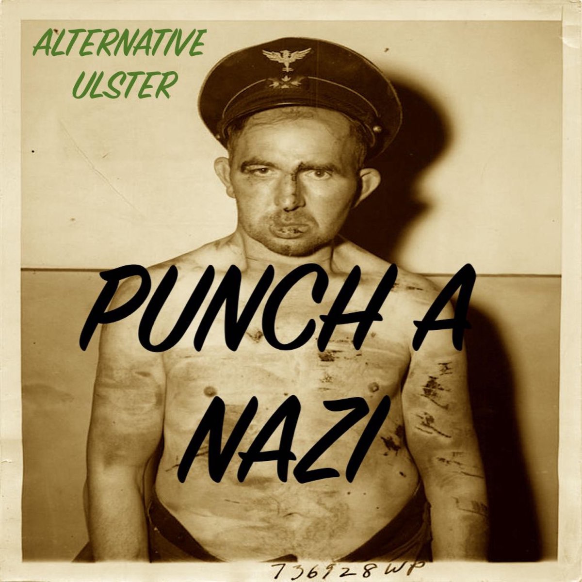 ‎Punch a Nazi - Single - Alternative Ulsterのアルバム - Apple Music