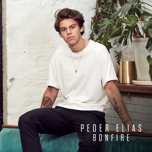 Peder Elias - Bonfire - Single [iTunes Plus AAC M4A] - iPlusHub