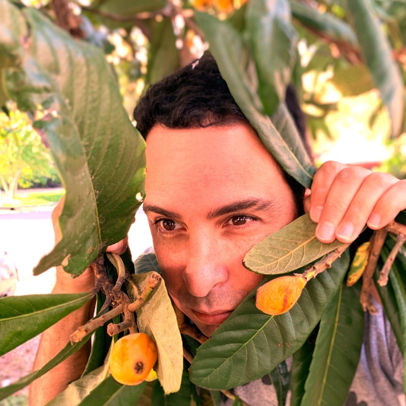 Loquat Jam - Ballzack: Song Lyrics, Music Videos & Concerts