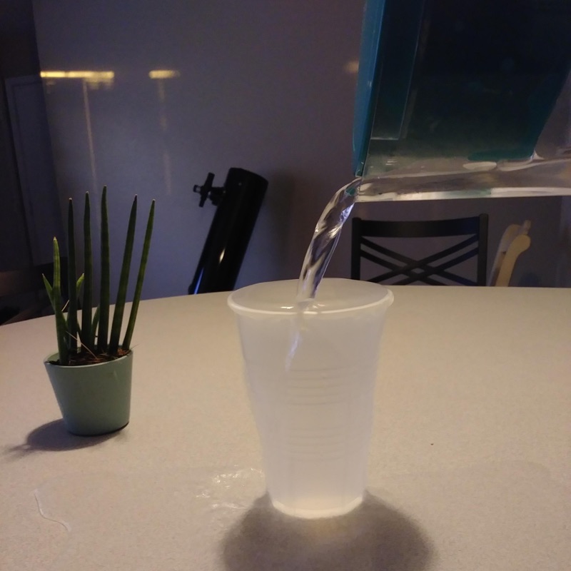 Wait, Don't - Angelo Null: Song Lyrics, Music Videos & Concerts