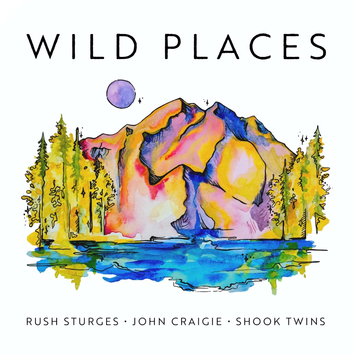 ‎Wild Places (feat. John Craigie & Shook Twins) - Single - Album by ...