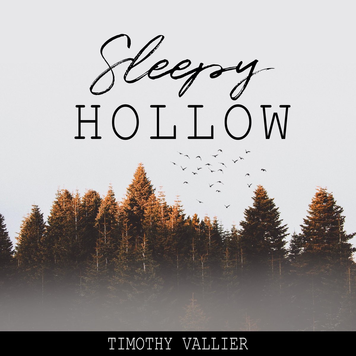 ‎Sleepy Hollow (Original Radio Play Soundtrack) - Timothy Vallierのアルバム ...