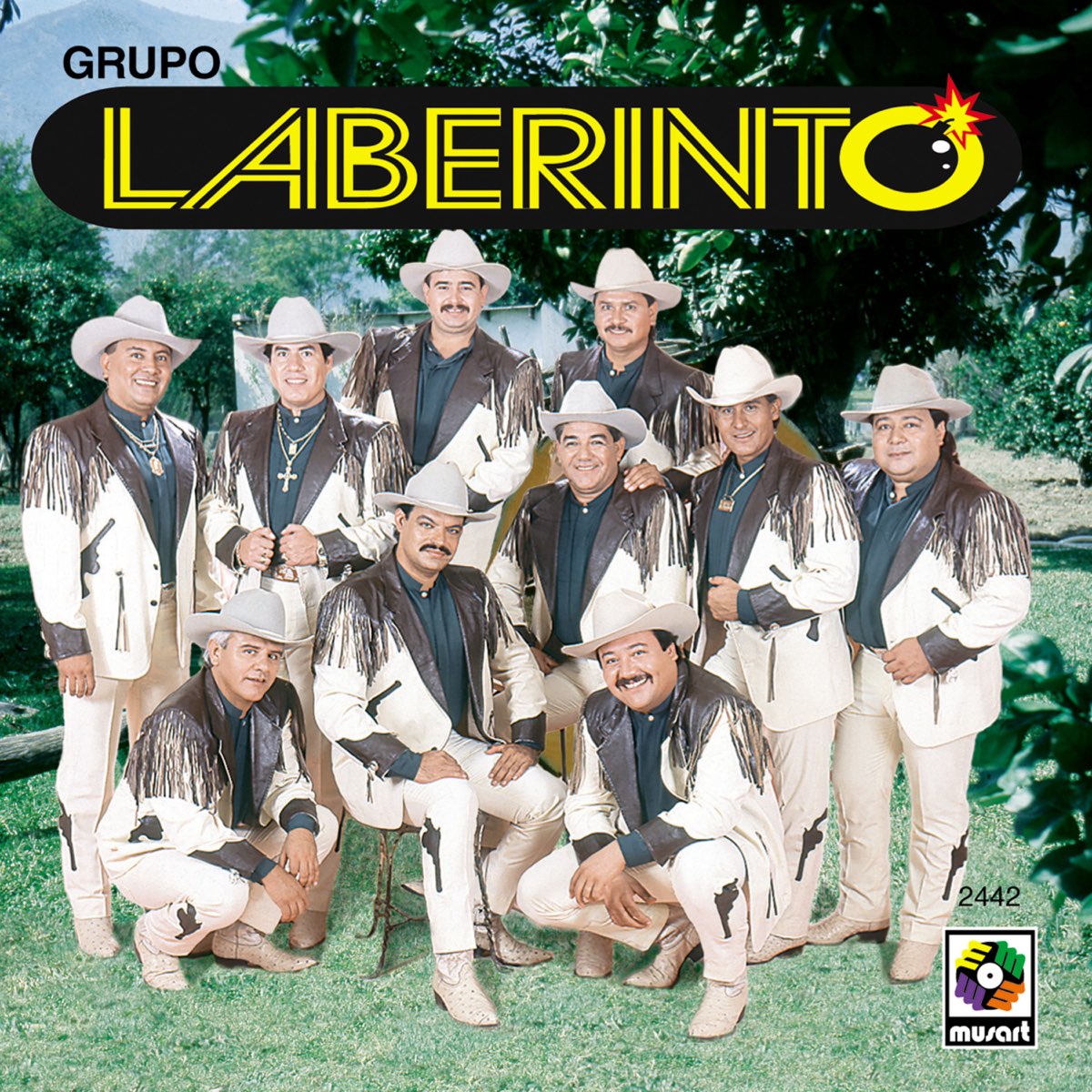 ‎Grupo Laberinto - Album by Grupo Laberinto - Apple Music