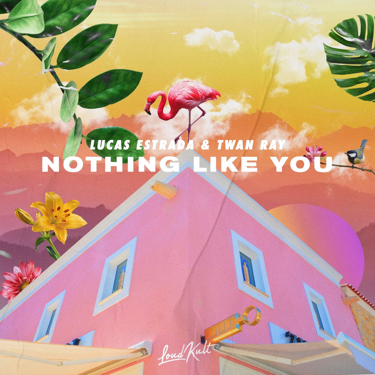 Nothing Like You Single》 Lucas Estrada And Twan Ray的专辑 Apple Music