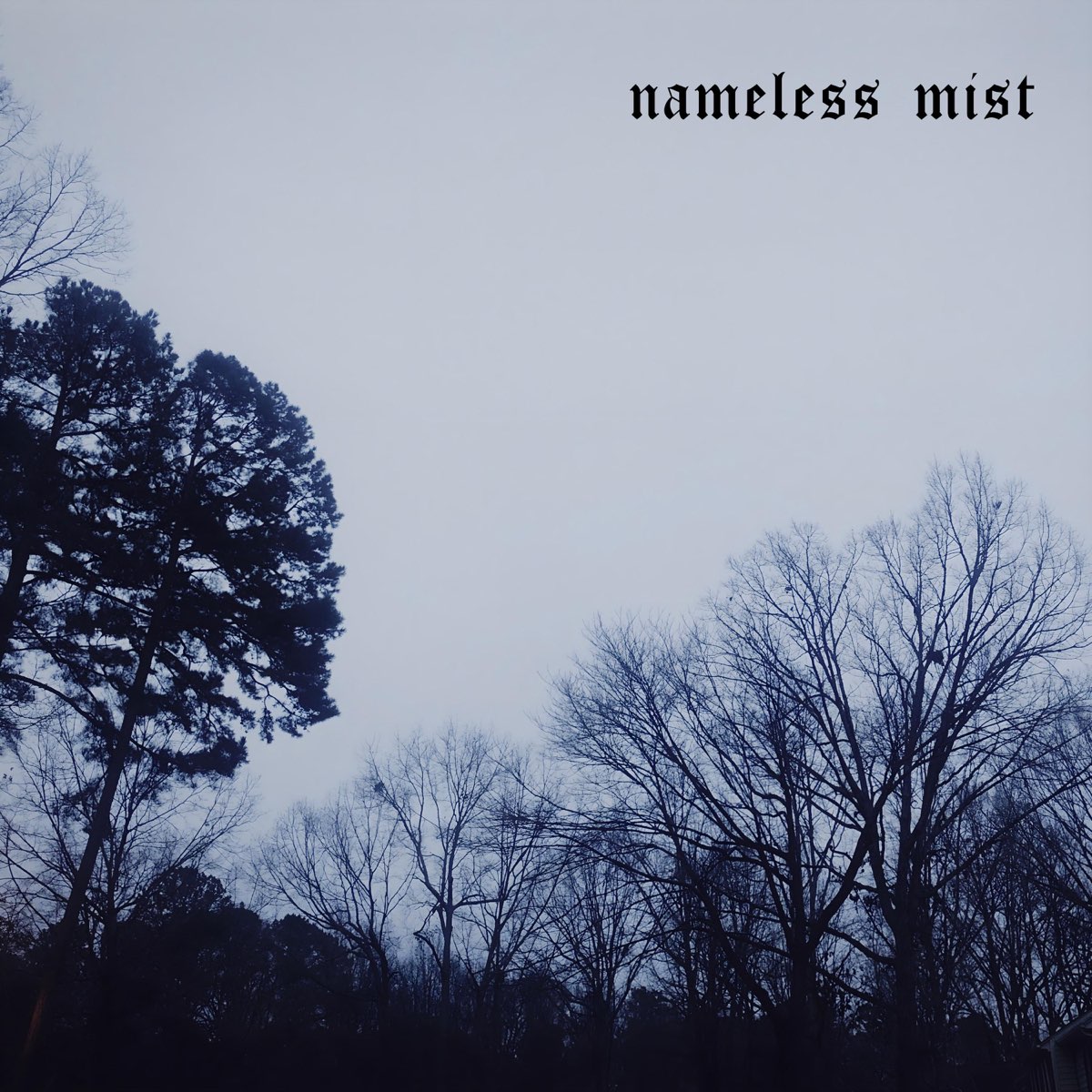 ‎Lifeless - Nameless Mistのアルバム - Apple Music