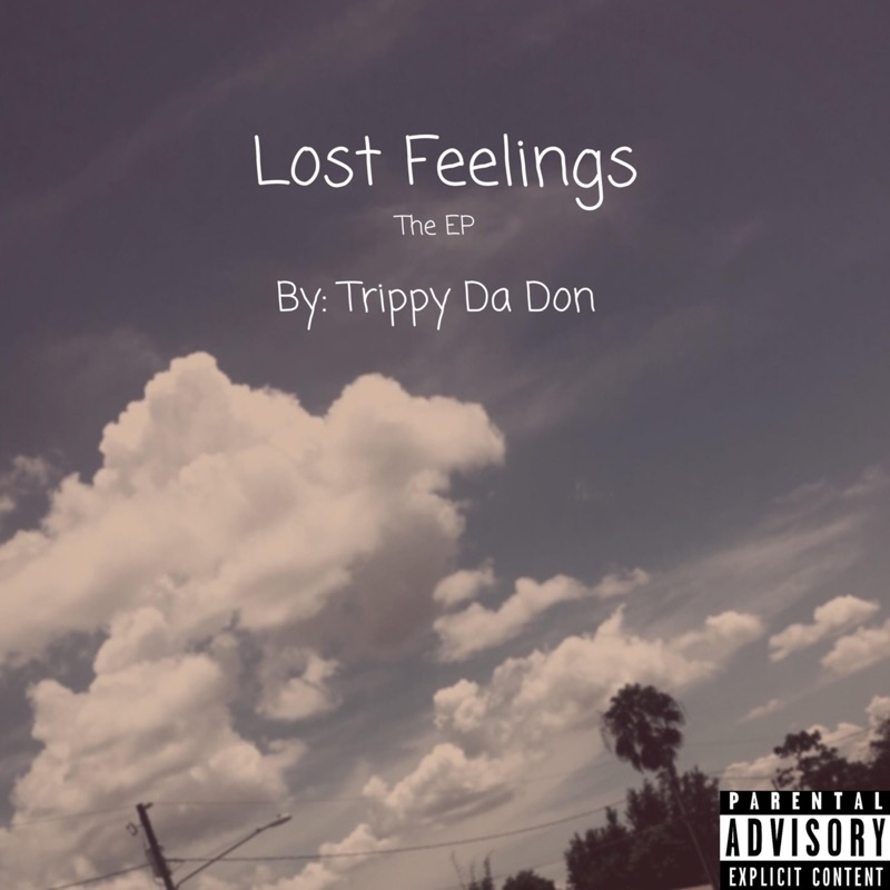 Falling - Trippy Da Don: Song Lyrics, Music Videos & Concerts