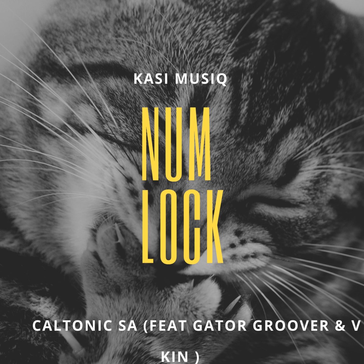 ‎Num Lock (feat. Gator Groover & V Kin) - Single - Caltonic SAのアルバム ...