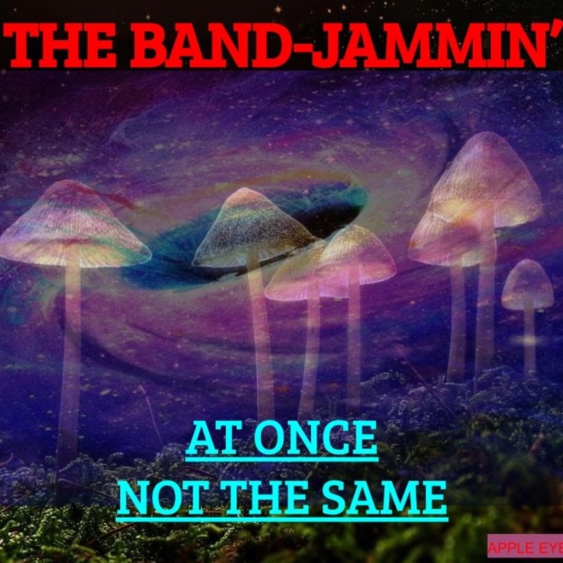 Mr Toad's Stool - The Band Jammin': Song Lyrics, Music Videos & Concerts