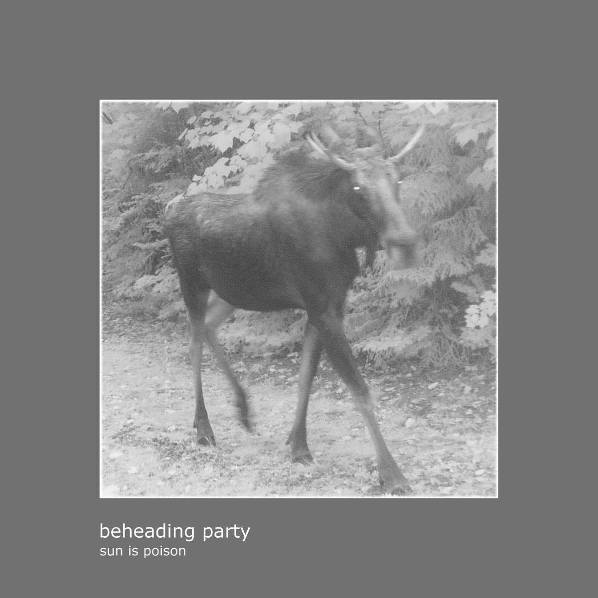 ‎Beheading Party - Album by sun is poison - Apple Music