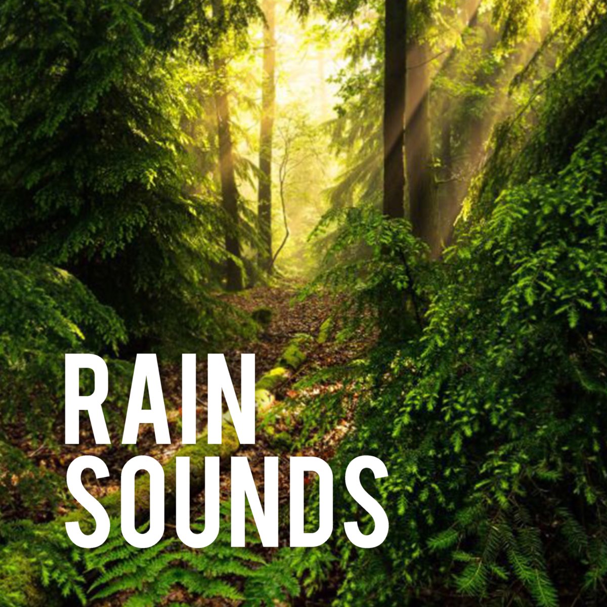‎Rain Sounds - Album by Rain Sounds - Apple Music