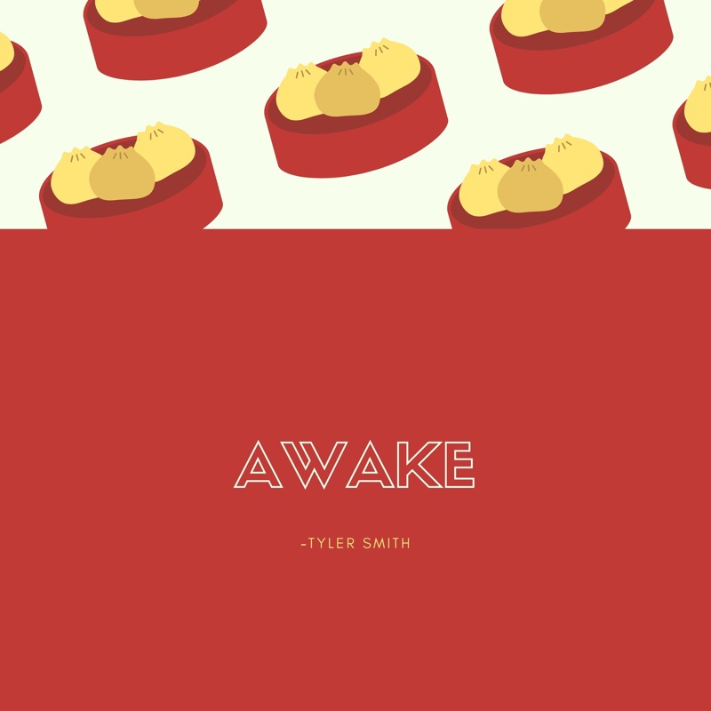 Awake - Tyler Smith: Song Lyrics, Music Videos & Concerts