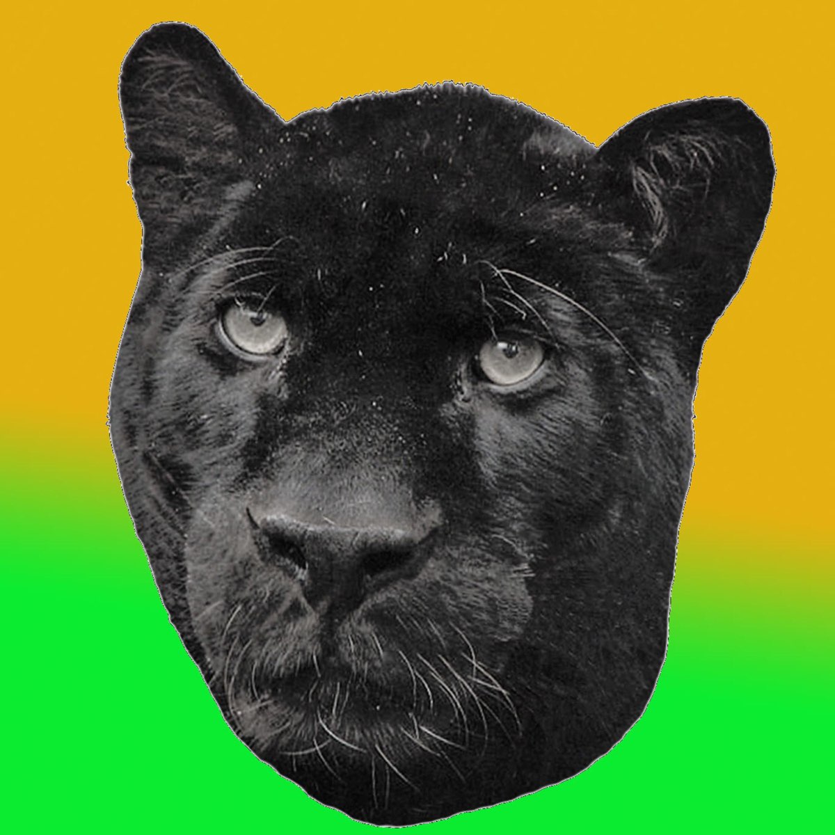 ‎Get Still Alive - Album by Lobo Loco - Apple Music