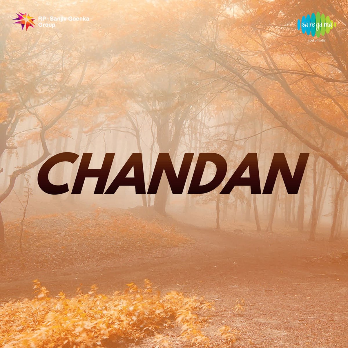 ‎Chandan (Original Motion Picture Soundtrack) - Album by S . N ...