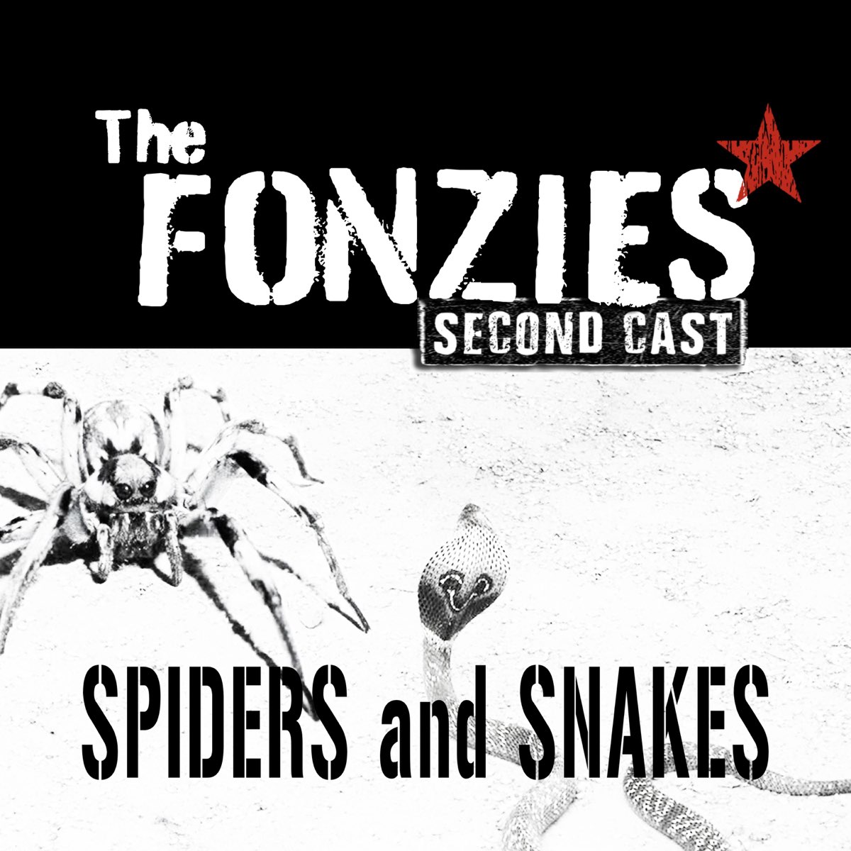 ‎Spiders and Snakes (Second Cast) - Single - Album by The Fonzies ...