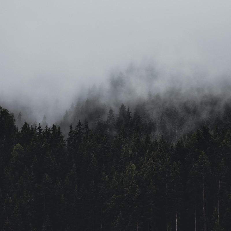 We're Going Nowhere - Emjaay: Song Lyrics, Music Videos & Concerts