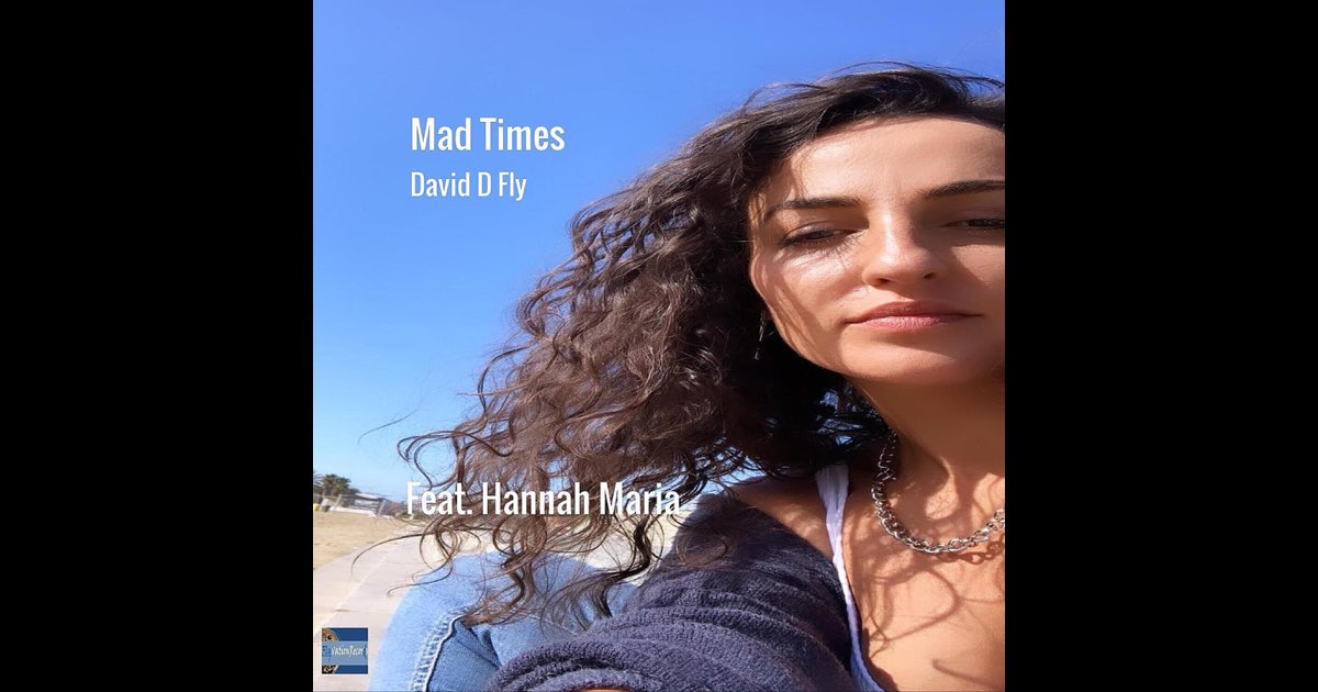 ‎Mad Times (feat. Hannah Maria) - Single - Album by David D Fly - Apple ...