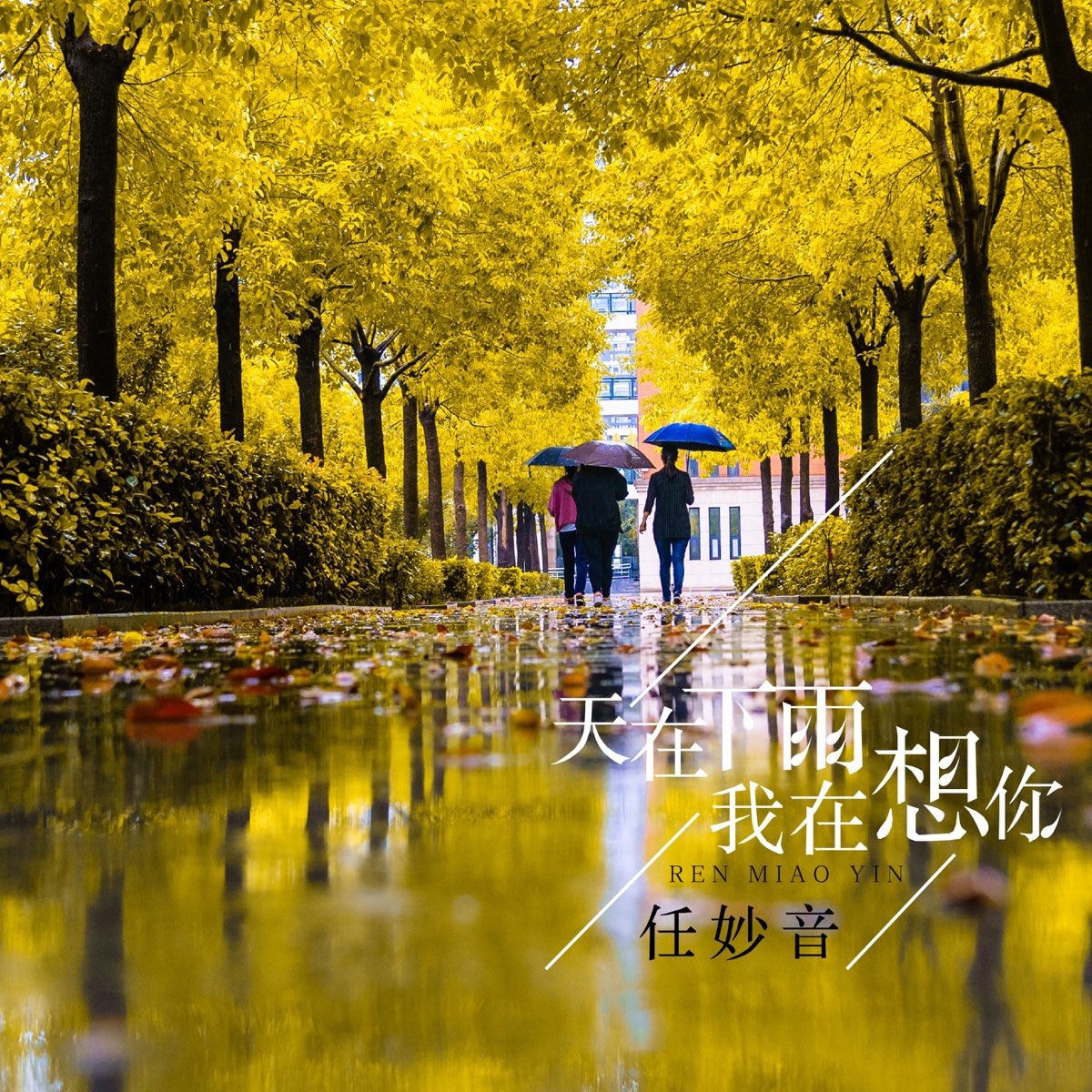‎天在下雨我在想你 - Single - Album by Ren Miao Yin - Apple Music
