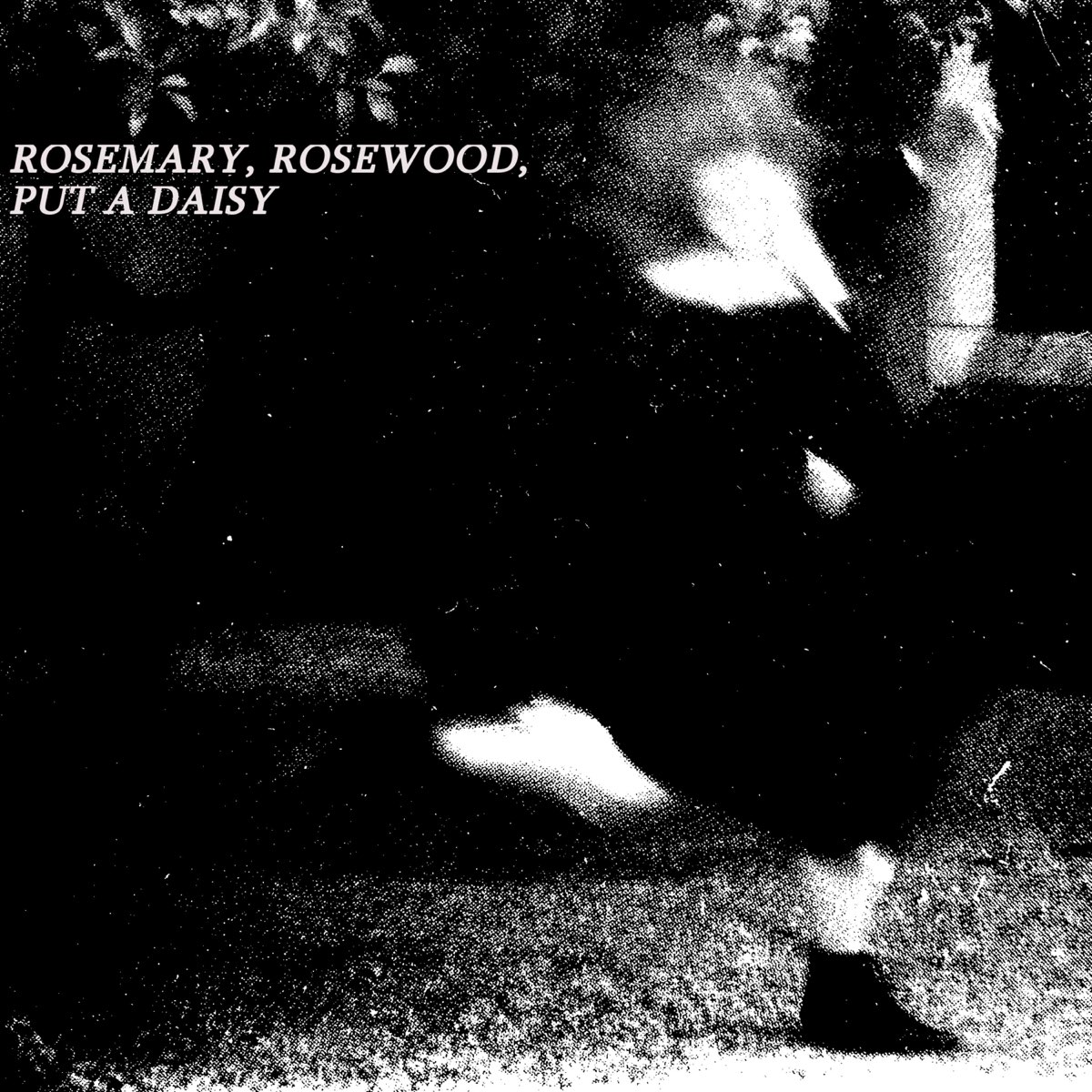 ‎Rosemary, Rosewood, Put a Daisy - Album by Adam Richard - Apple Music