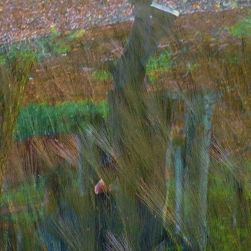 Footsteps - Nathanael: Song Lyrics, Music Videos & Concerts