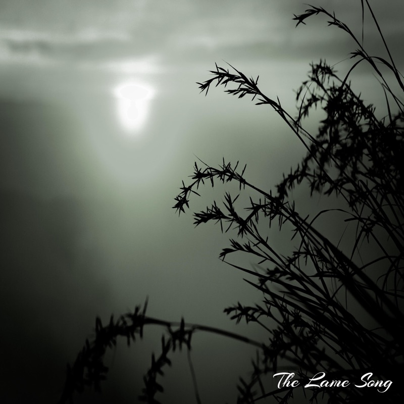 The Lame Song - Nopetsallowed: Song Lyrics, Music Videos & Concerts