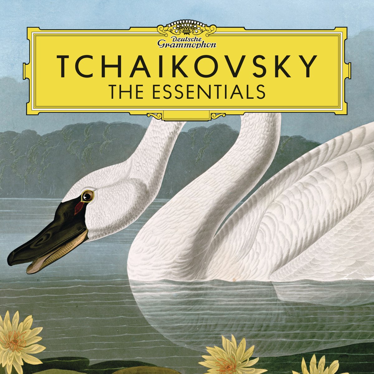 ‎Tchaikovsky: The Essentials - Album by Various Artists - Apple Music