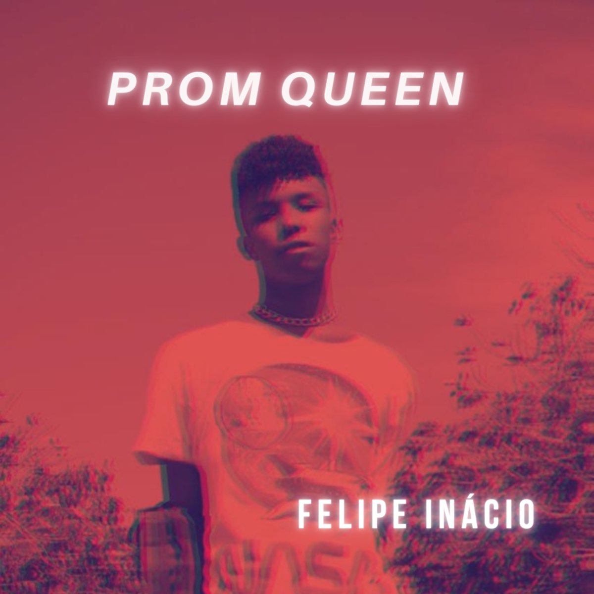 ‎Альбом «Prom Queen (Cover) - Single» — Felipe Inácio Corrêa & Felipe ...
