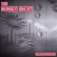 Hungry Grass by Hungry Grass on The Session