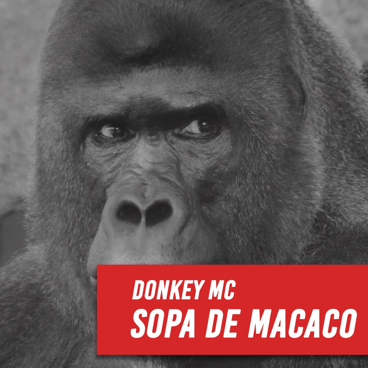 Sopa de Macaco - Single” álbum de Donkey MC en Apple Music