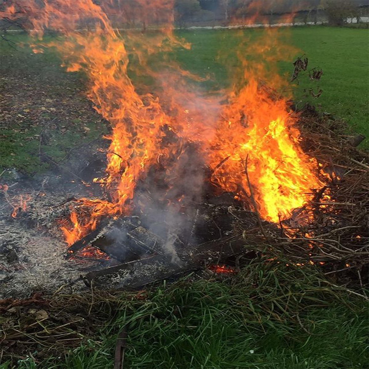 ‎Lava Smrt - Single - Album by Okniino - Apple Music