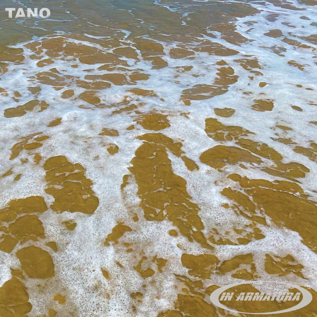 ‎In Armatura 001 - EP - Album by Tano - Apple Music