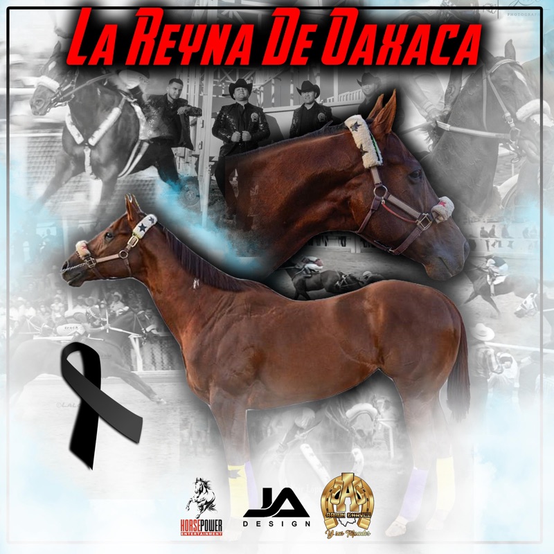 La Reyna de Oaxaca - AARON CHAVEZ Y SUS TAPADOS: Song Lyrics, Music ...