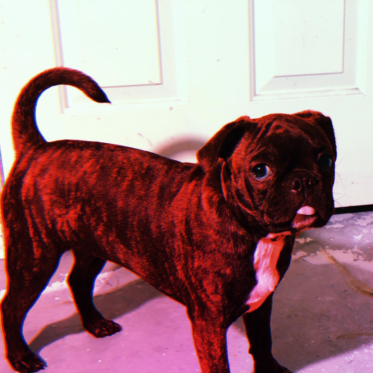 Reddogg - EP》- Flog the Rapper的专辑 - Apple Music