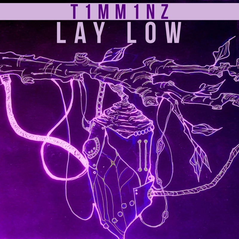 Lay Low - T1mm1nz: Song Lyrics, Music Videos & Concerts