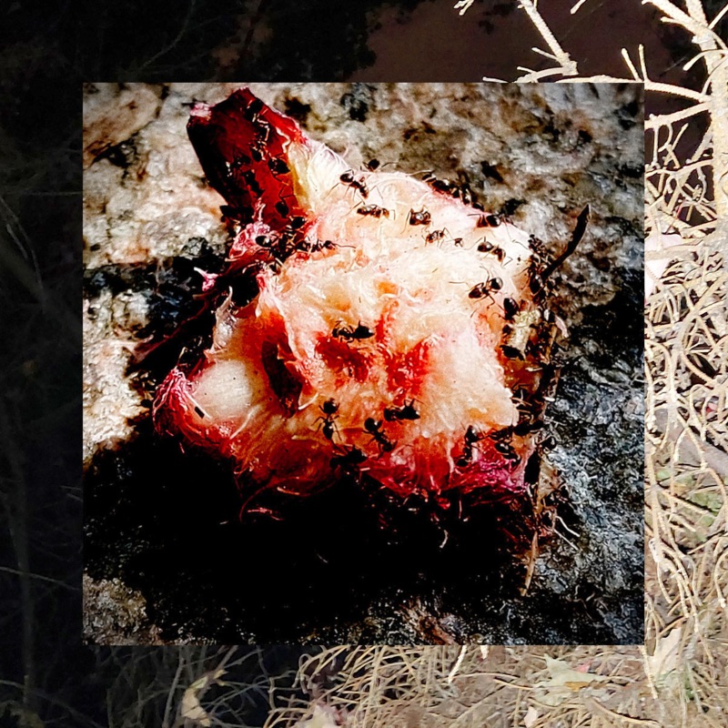 Work Breakdown Structure - Flight of the Black Bat: Song Lyrics, Music ...