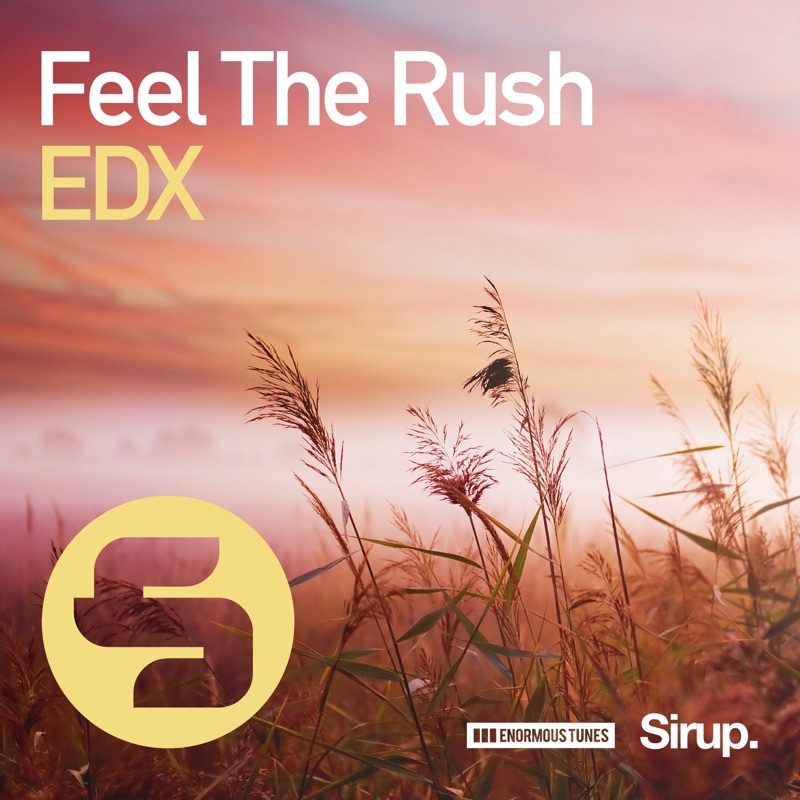 Feel the Rush - EDX: Song Lyrics, Music Videos & Concerts