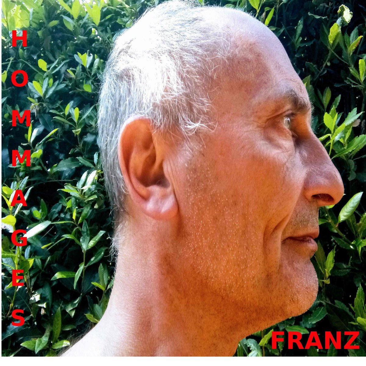 ‎Franz Hommages - Album by Franz - Apple Music