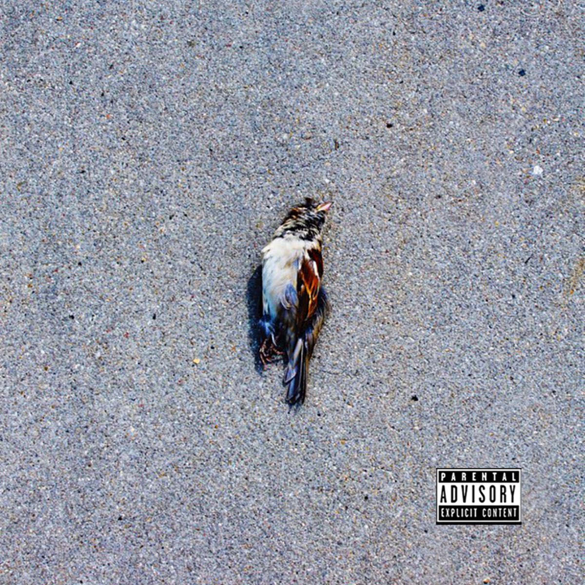 ‎Ashes 2 Ashes - Album by L8 Bloomer - Apple Music