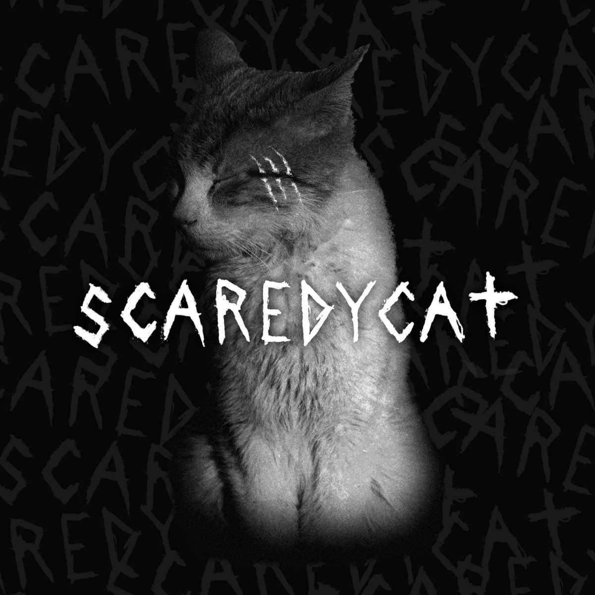 ‎Scaredycat - EP - Album by HKFiftyOne - Apple Music