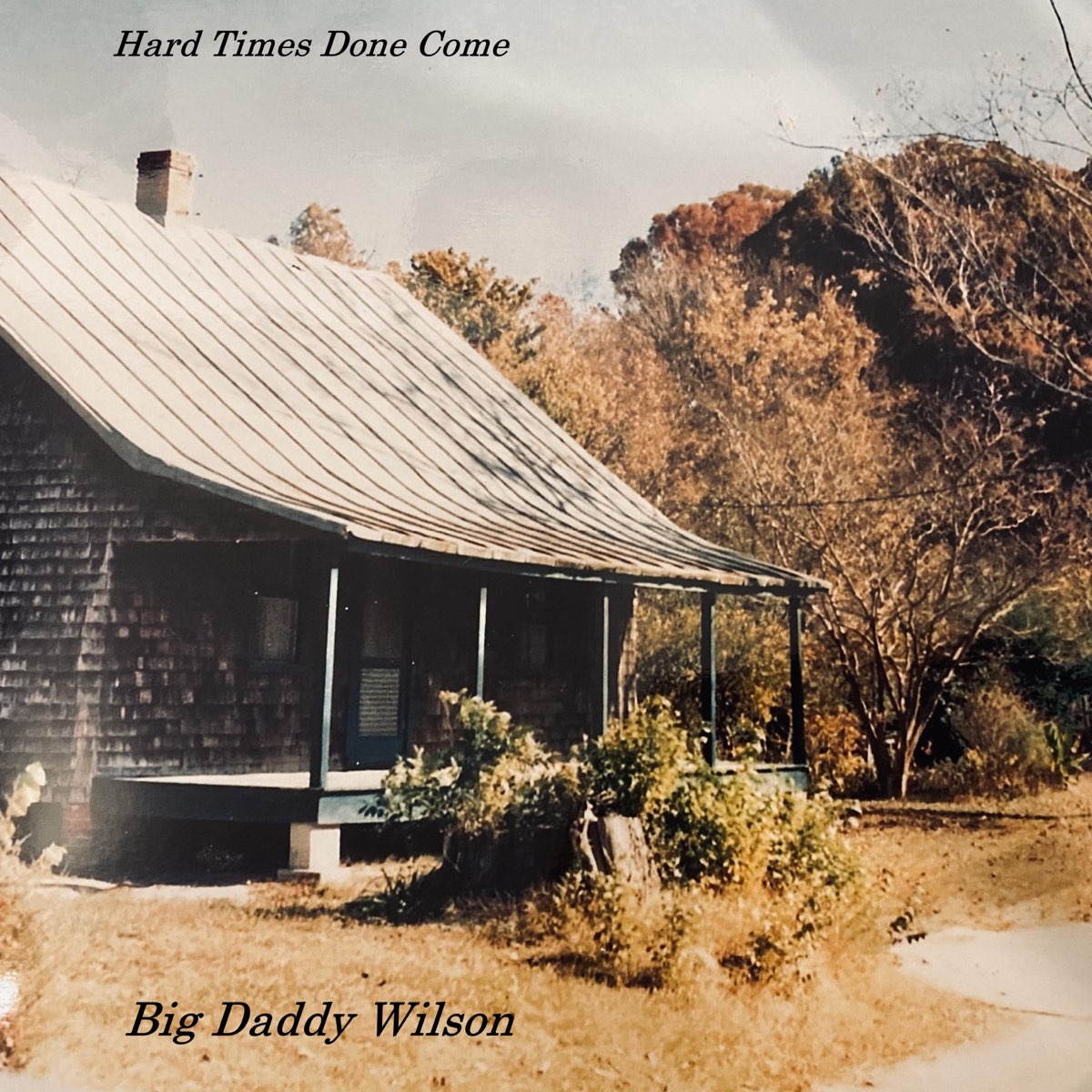 ‎Hard Times Done Come - Single - Album by Big Daddy Wilson - Apple Music
