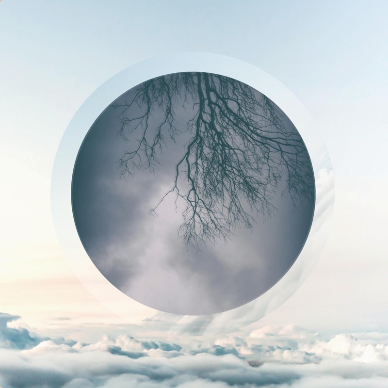 The Tree of Pain - Cissi & Yanni: Song Lyrics, Music Videos & Concerts