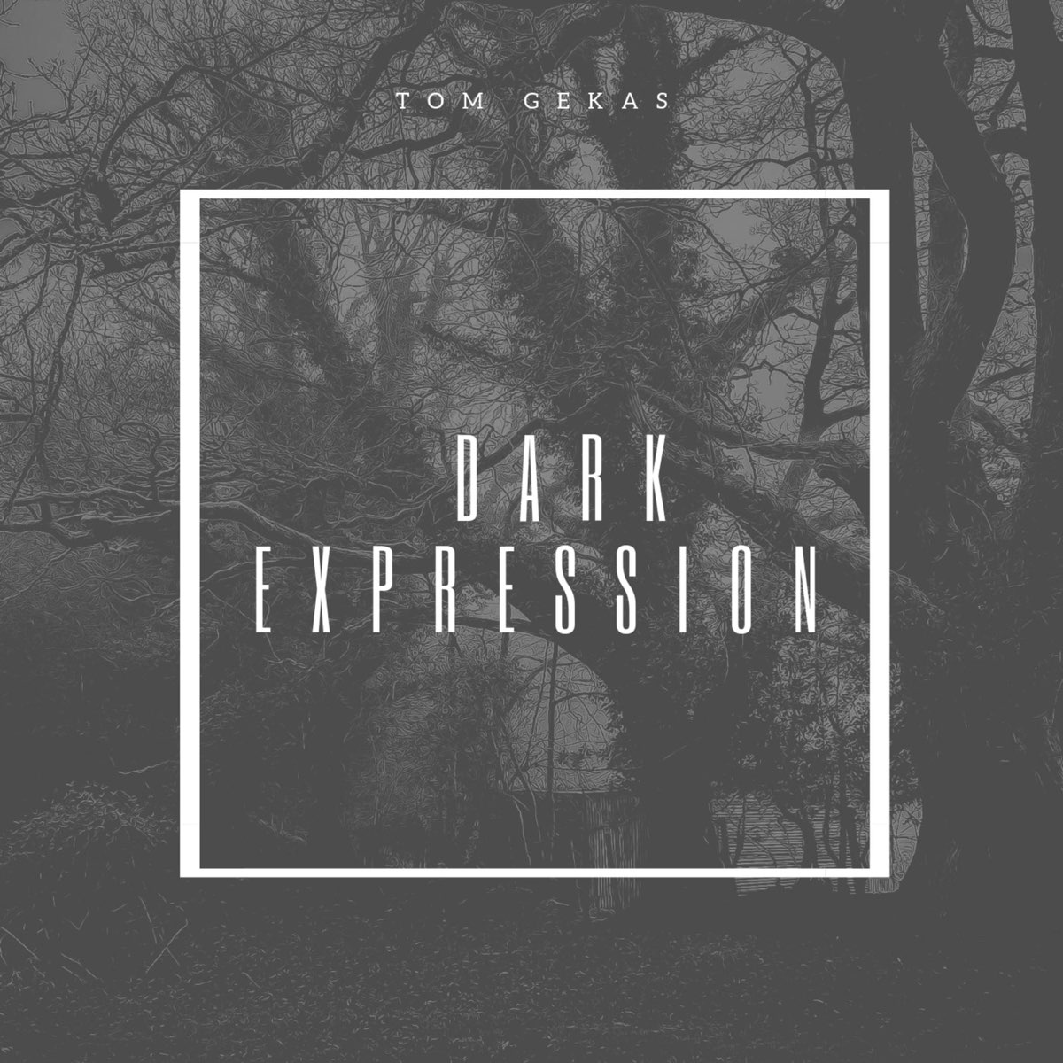 Dark Expression - EP》- Tom Gekas的专辑 - Apple Music