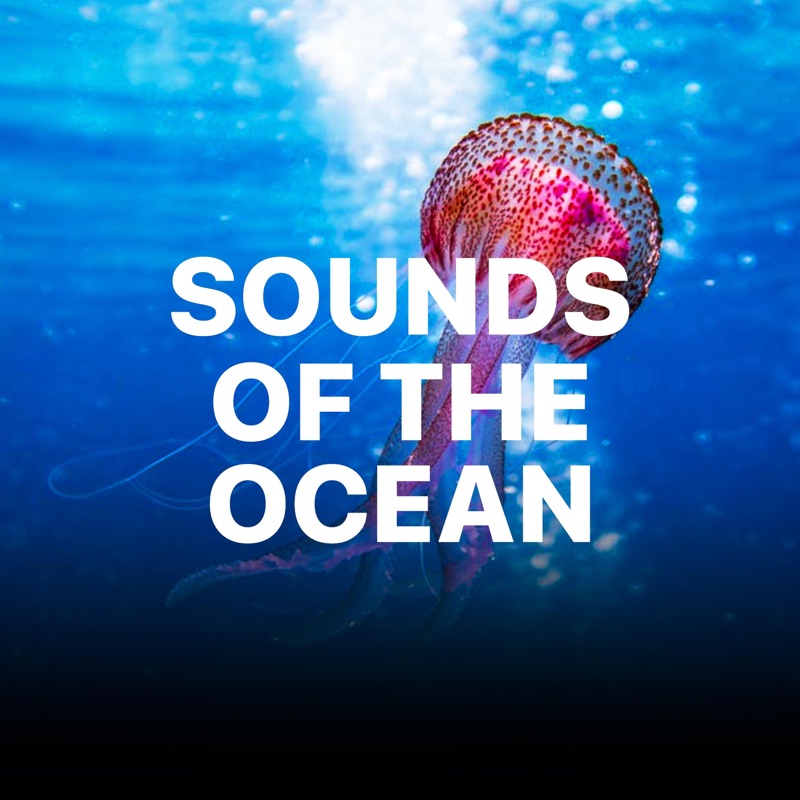 Peaceful Ocean - Nature Sounds Nature Seasons: Song Lyrics, Music ...