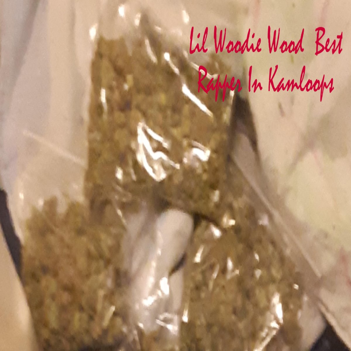‎Best Rapper In Kamloops - Single - Album by Lil Woodie Wood - Apple Music